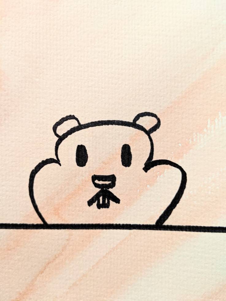 Beaver Head Over Wall Black Marker Drawing on Orange Peach - Etsy