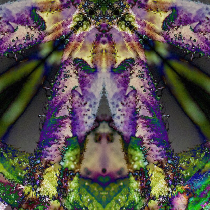 As the Moment Happens Cannabis Art Marijuana Art 420 Art | Etsy