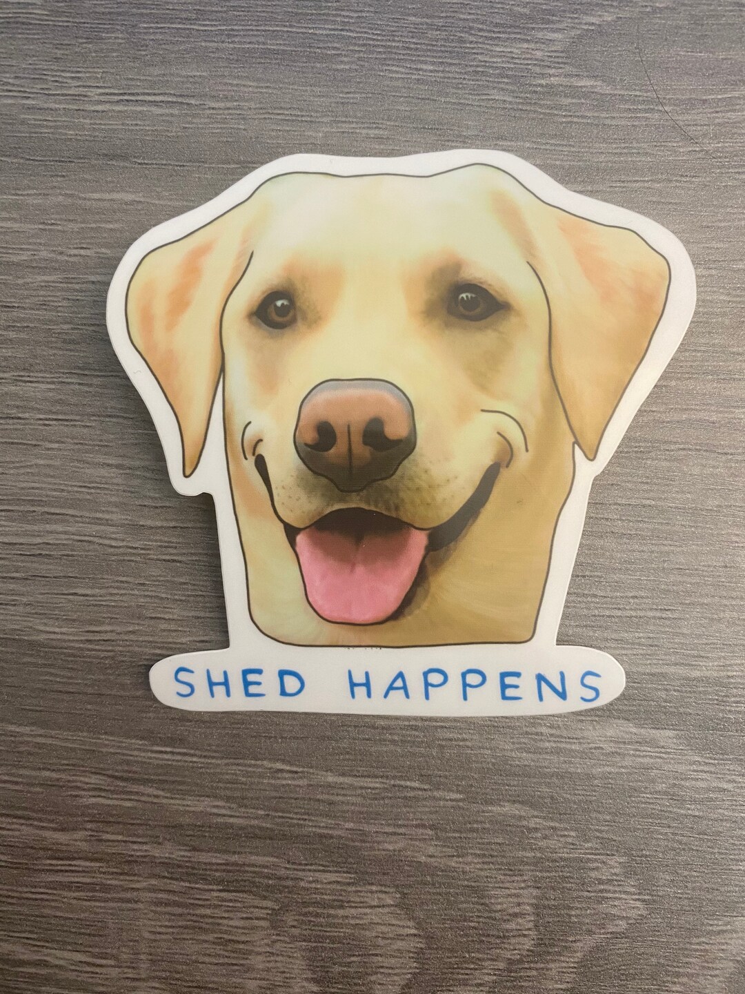 What Is Shedding Season For Labrador