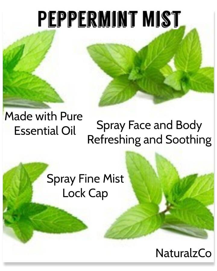 Peppermint Spray Face Spray Body Spray Room Spray Fine | Etsy