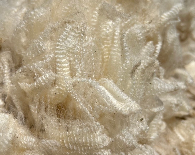 Lovely Raw Merino Wool - LONG STAPLE! Unwashed Merino Wool for Spinning ...