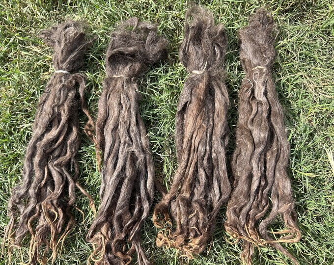 Extreme Long Locks Alpaca - RAW Suri Cross 12-14" Locks Dark Rose Grey ...