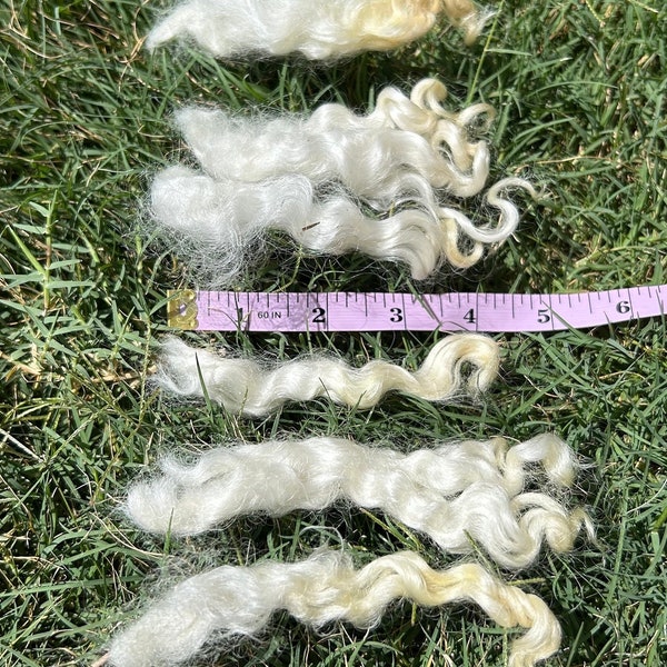 Wool Locks - Etsy