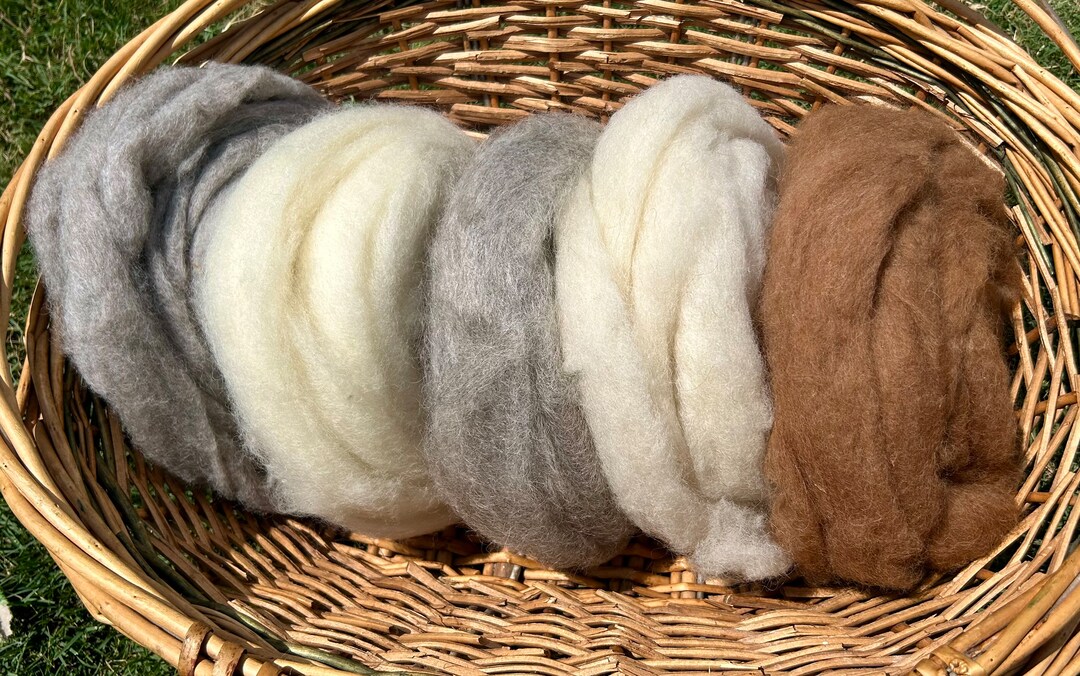 10oz Wool Roving Set This and That Set of Five Different Wools and ...