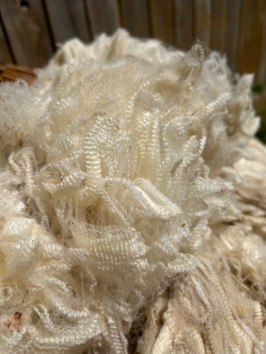 Lovely Raw Merino Wool LONG STAPLE Unwashed Merino Wool for Spinning ...