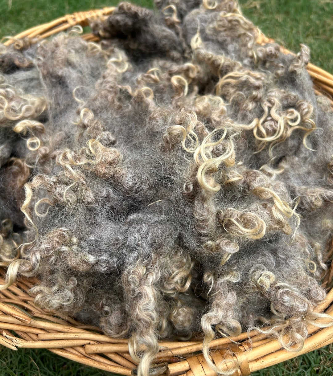 2oz Wensleydale/ Icelandic Cross Locks WASHED Natural Color Wool for ...