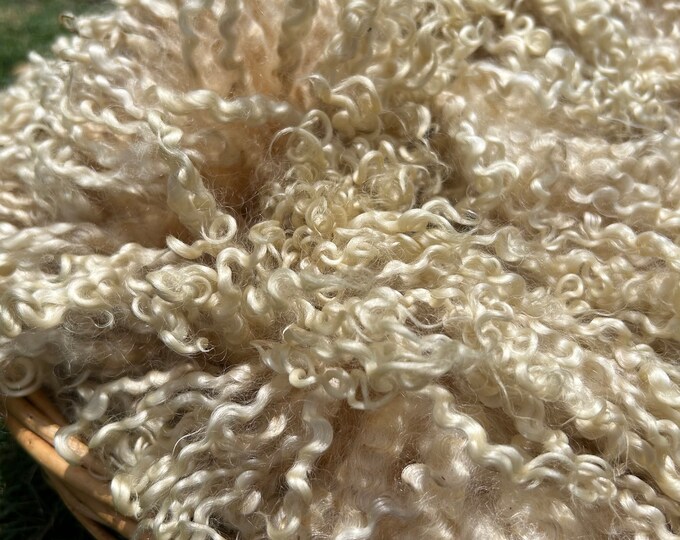 4oz RAW Stunning Leicester Longwool Wool Locks LONG Staple Wool for ...