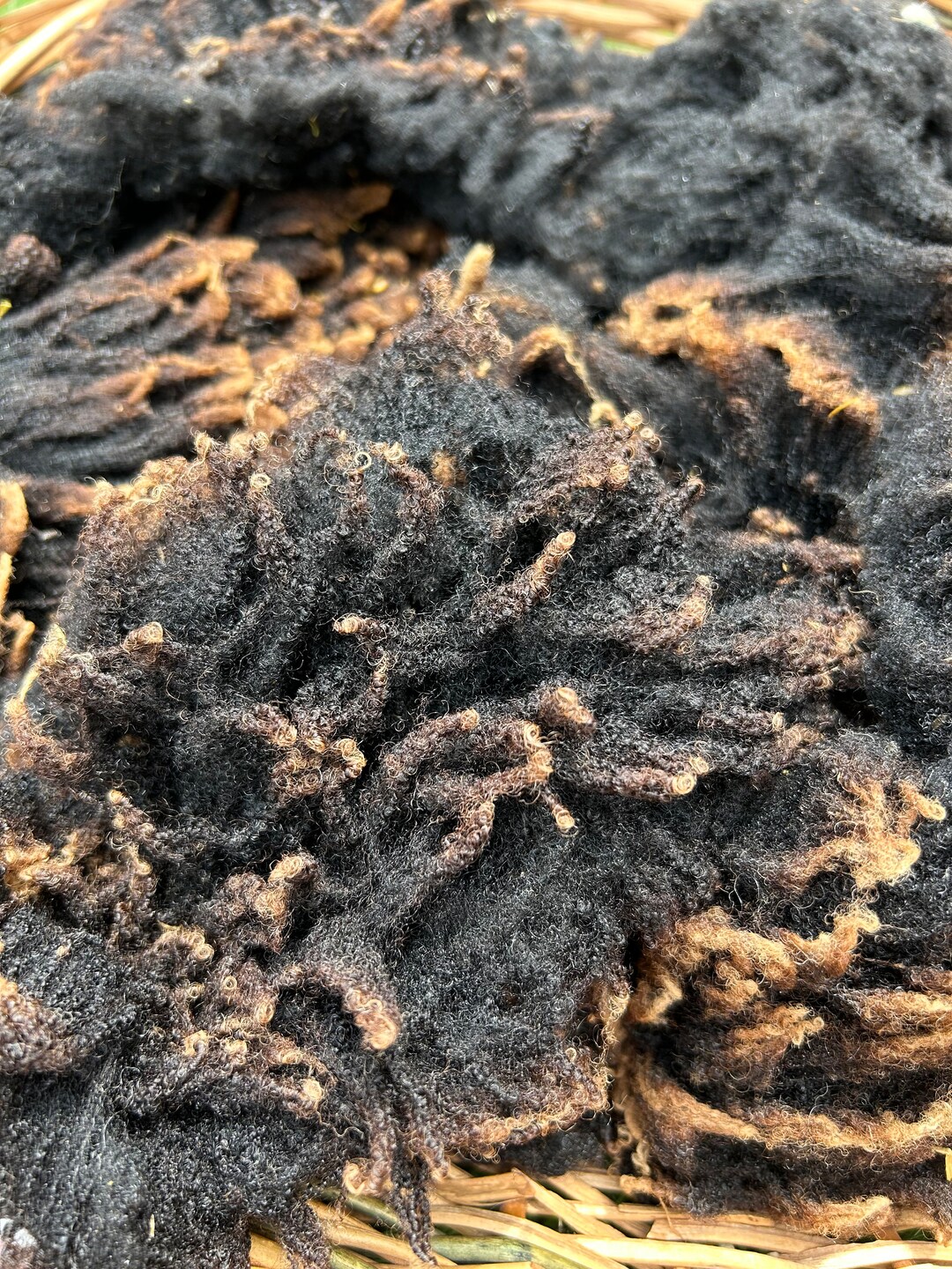 FINE SHETLAND Raw Coated Clean Fine Wool Black Sheep Wool for Spinning ...