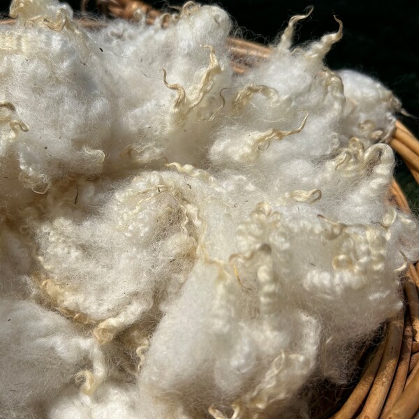 Wool for Beards - Etsy