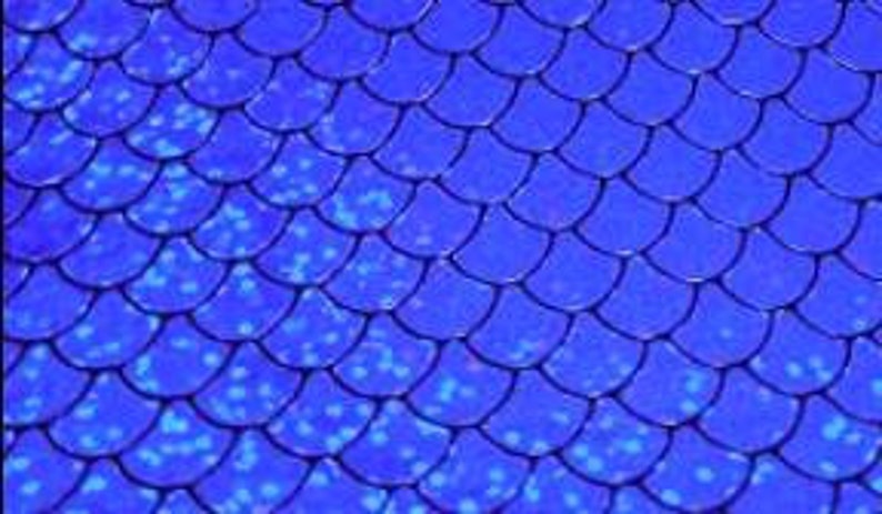 Royal Blue Scales Holographic Sparkle Vinyl 9x12 SHEET - Etsy