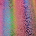 Rainbow Animal Print Fine Glitter Canvas - 12x52" ROLL - Embroidery ...