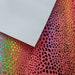 Rainbow Animal Print Fine Glitter Canvas - 9x12" SHEET - Embroidery ...