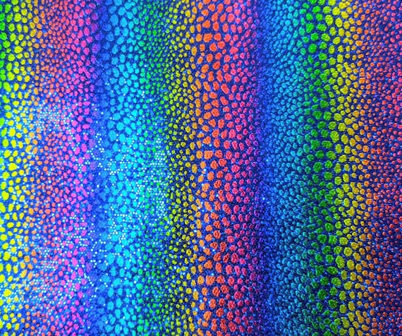 Rainbow Animal Print Fine Glitter Canvas 9x12 SHEET | Etsy