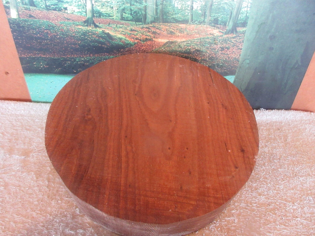 Siberian Red Elm Bargain Blank 12 X 3 Turning Wood Bowl Large - Etsy