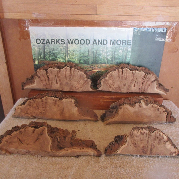 Burl Wood Decor - Etsy