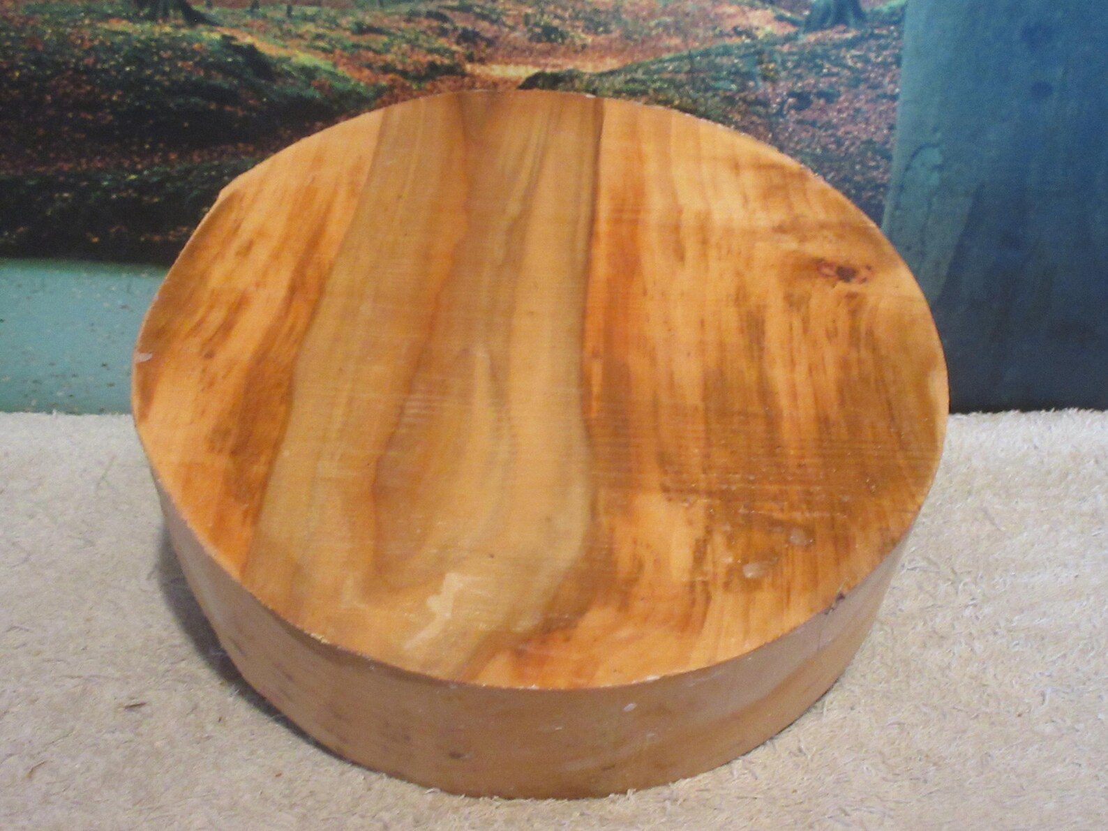 Spalted Hard Maple 10 X 3 Turning Wood Bowl, Large Project Blank ...