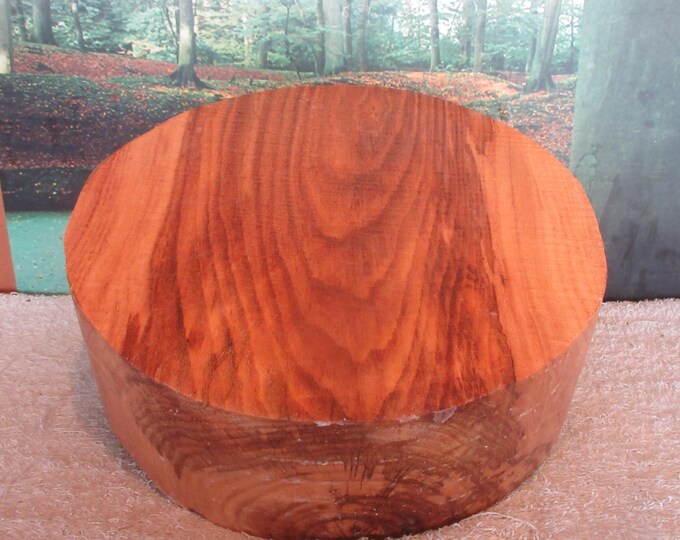 HONEY LOCUST 12 X 4 Turning Wood Deep Bowl, X-large Project Blank ...