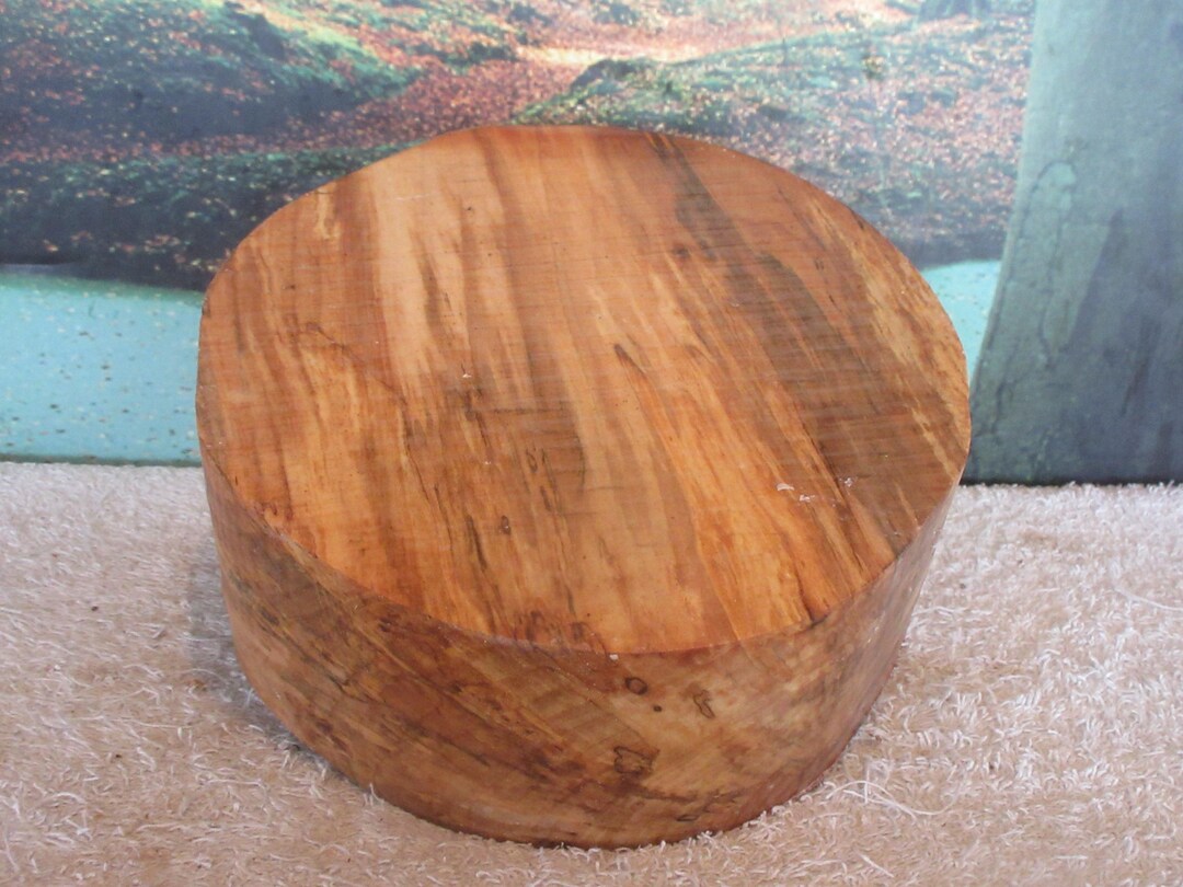 Spalted Hard Maple 8 X 3 Turning Wood Bowl, Large Project Blank ...