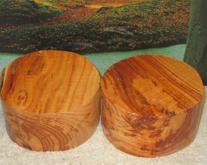 Honey Locust 5 1/2 X 3 Turning Wood Bowl, Small Projects Blank 10234870 ...