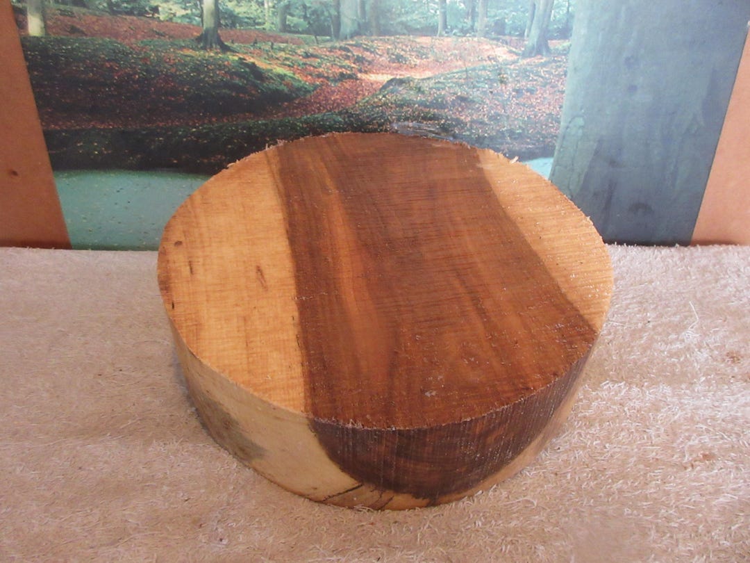 Spalted Hickory 10 X 2 1/2 Turning Wood Bowl, Large Project Blank ...