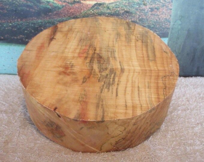 Box Elder 9 X 3 Turning Wood Bowls, Large Project Blanks #06255606 - Etsy