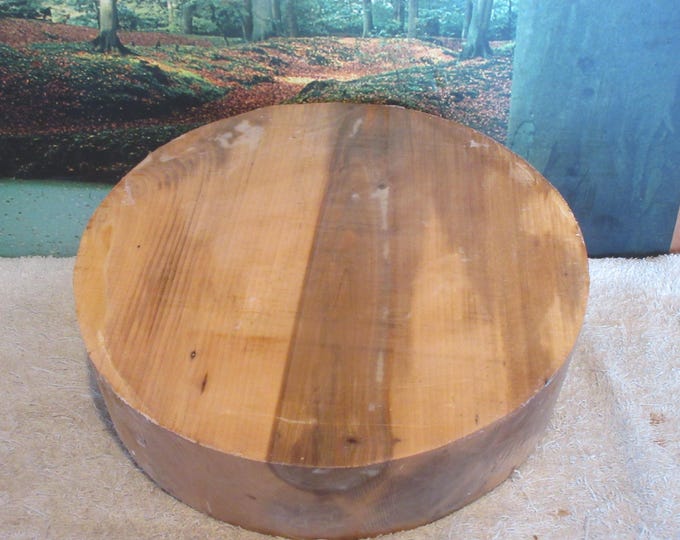 Spalted Sweet Gum 12 X 3 Turning Wood Bowl, Large Project Blank ...