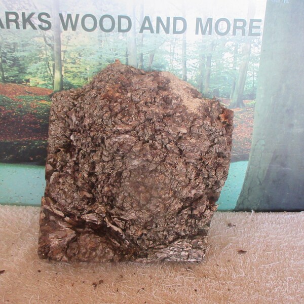 Burl - Etsy