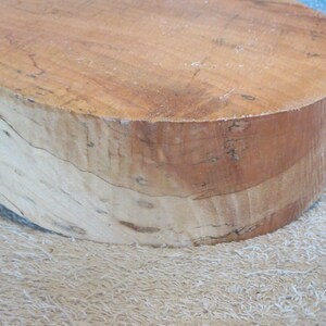 Spalted Maple Bargain Blank 10 X 3 Turning Wood Bowl, Large Project ...