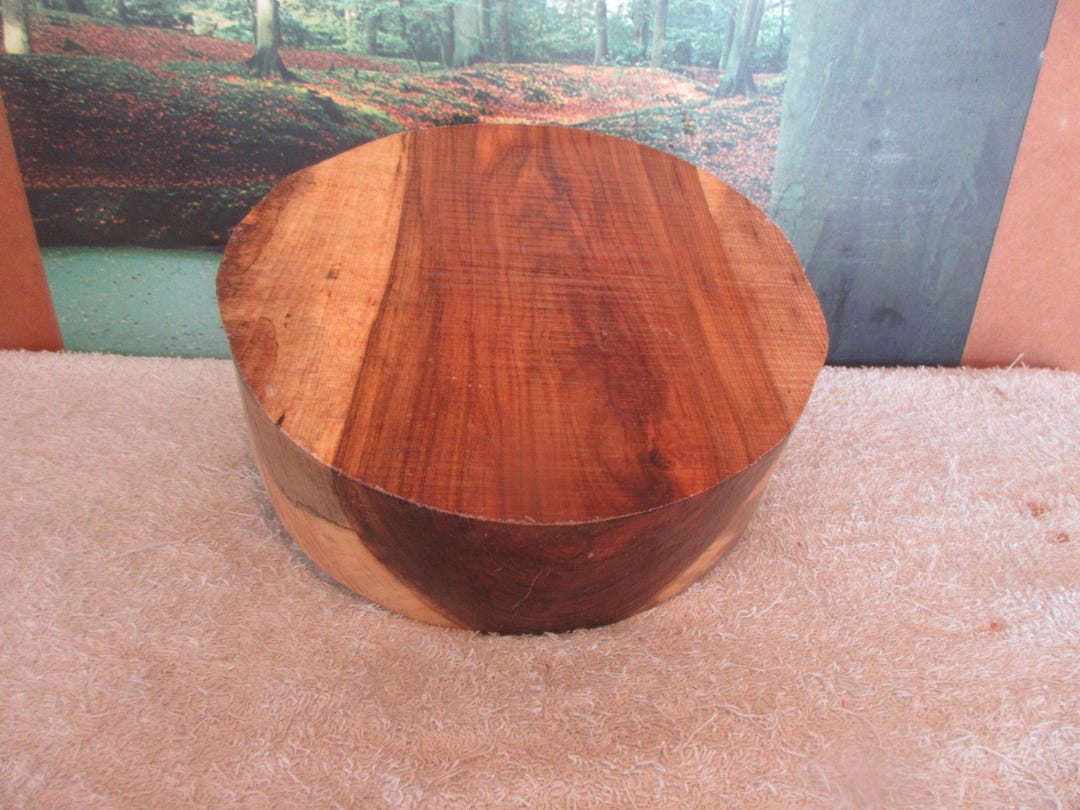 Spalted Hickory 10 X 3 Turning Wood Bowl, Large Project Blank 10245327 ...