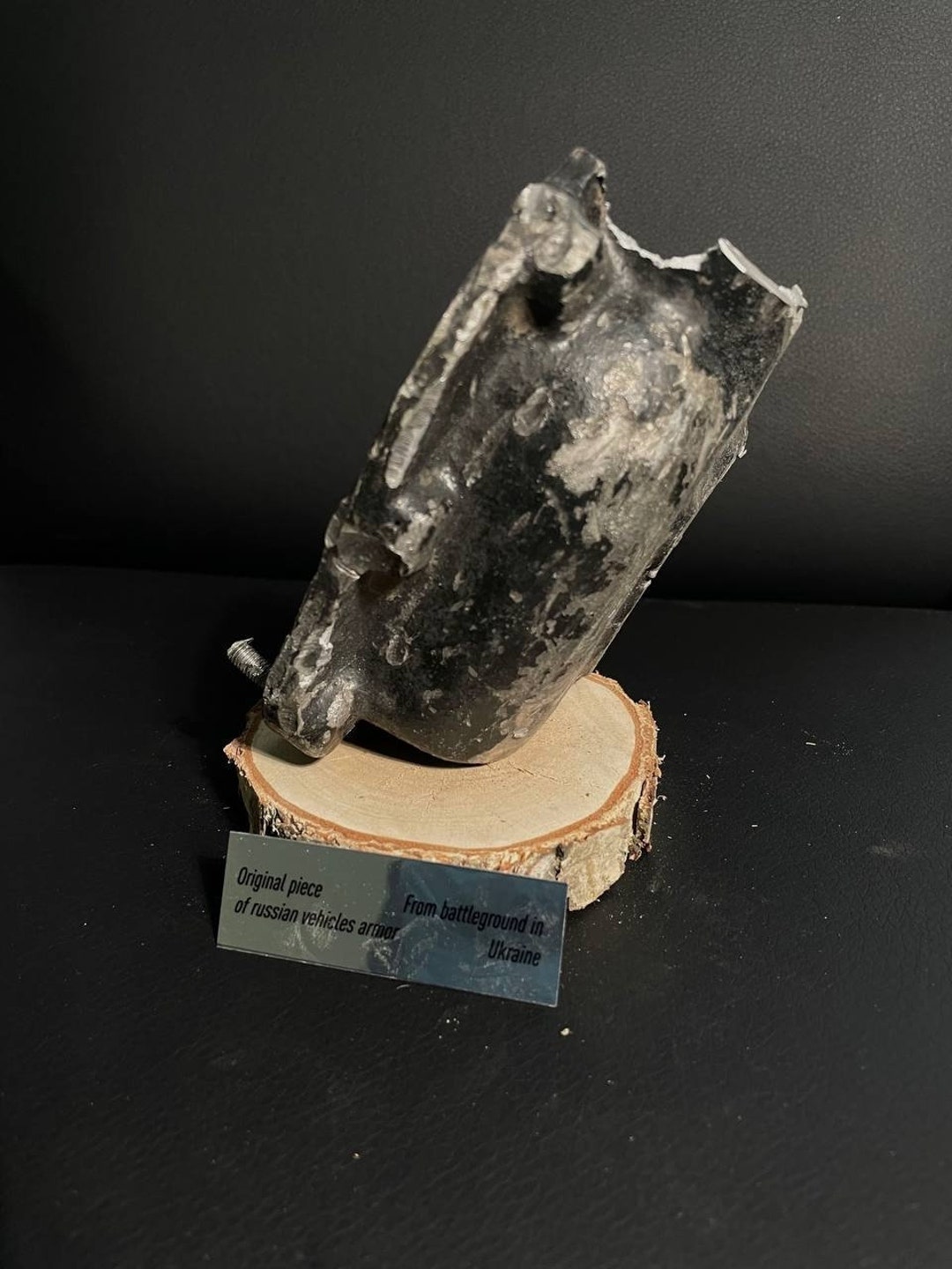 Rare Eclusive Fuselage Skin of "russian Cy 30/ SU30 " Ukraine,souvenirs ...