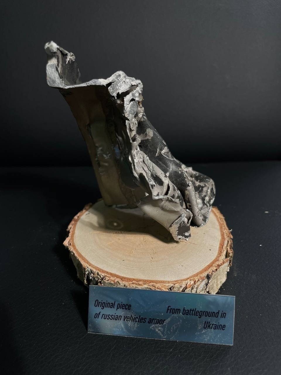 Big Rare Fuselage Skin of russian Cy 30/ SU30 - Etsy