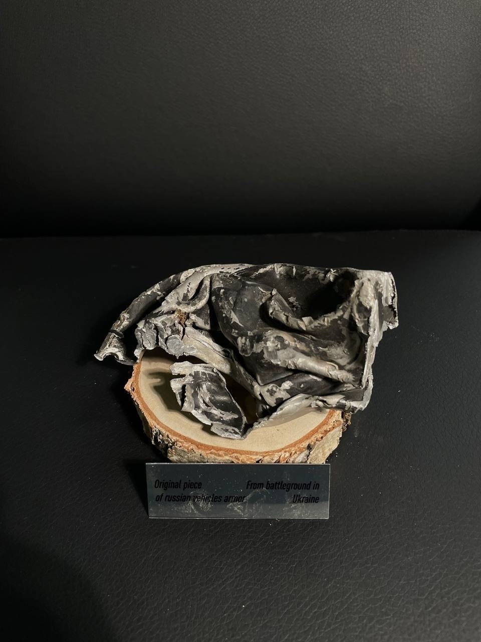 Big Rare Fuselage Skin of russian Cy 30/ SU30 - Etsy