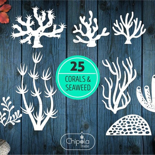 Corals Set SVG Cut File Corals and Seaweed Bundle Underwater - Etsy