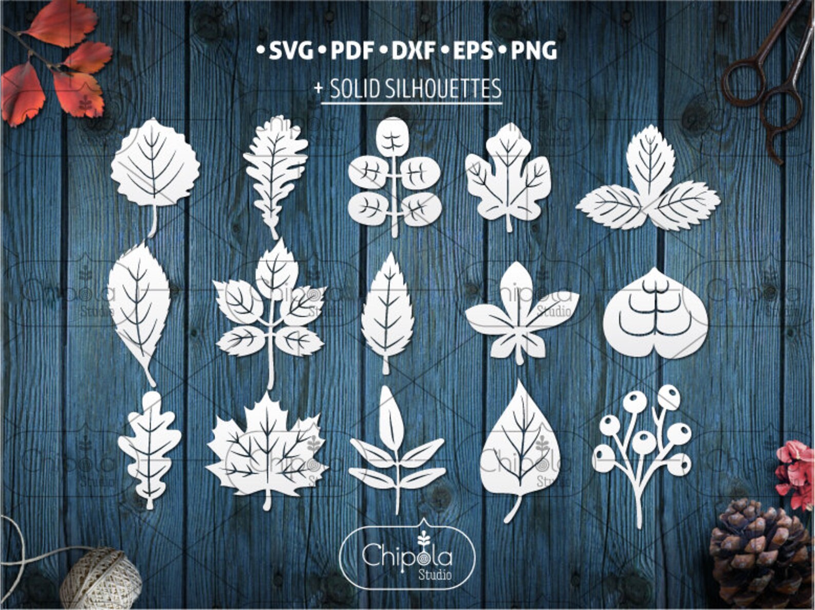 30 Leaves Set Bundle SVG Cut File, Autumn Botanical Template SVG Set ...