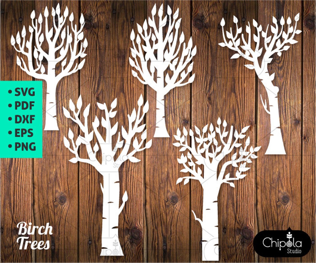 Birch Trees SVG Cut File, Brunches Leaves SVG, Spring Aspen Trees ...