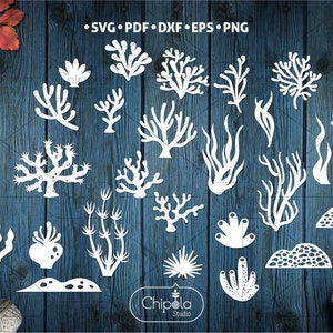 Corals Set SVG Cut File, Corals and Seaweed Bundle, Underwater Papercut ...