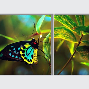 Colorful Butterflies. Multi Panel Wall Art Decor Canvas Print. Ready to ...