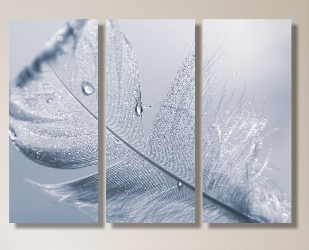 Feather in Dew. Multi Panel Wall Art Decor Canvas Print. Many Sizes ...