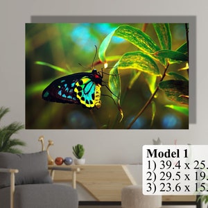 Colorful Butterflies. Multi Panel Wall Art Decor Canvas Print. Ready to ...