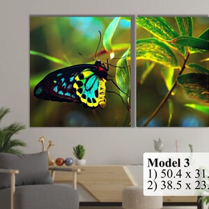 Colorful Butterflies. Multi Panel Wall Art Decor Canvas Print. Ready to ...