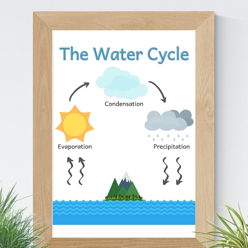 Water Cycle Poster - Etsy UK