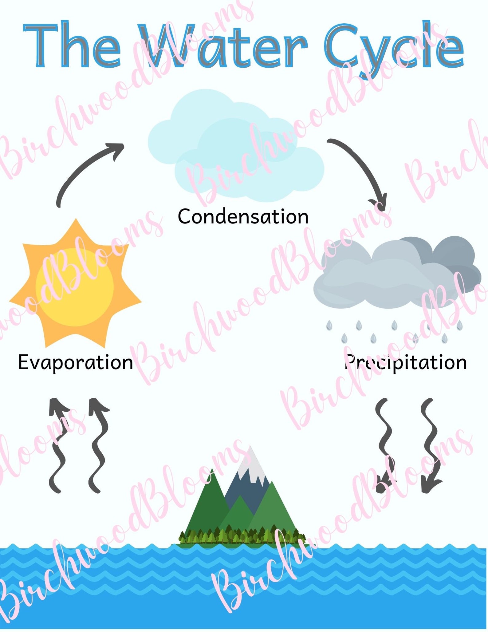 The Water Cycle Digital Printable Size 8.5x11 for Classroom, Homeschool ...