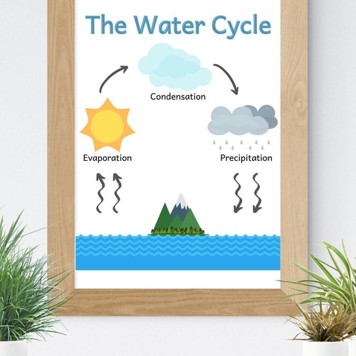 Water Cycle Model For Kids