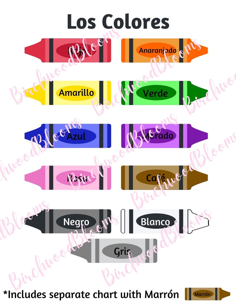 Spanish Color Chart - Marrón and Café Both Included-los Colores for ...