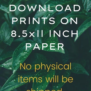 Spanish and English Shapes, Colors Bundle-includes Bonus Item-spanish ...