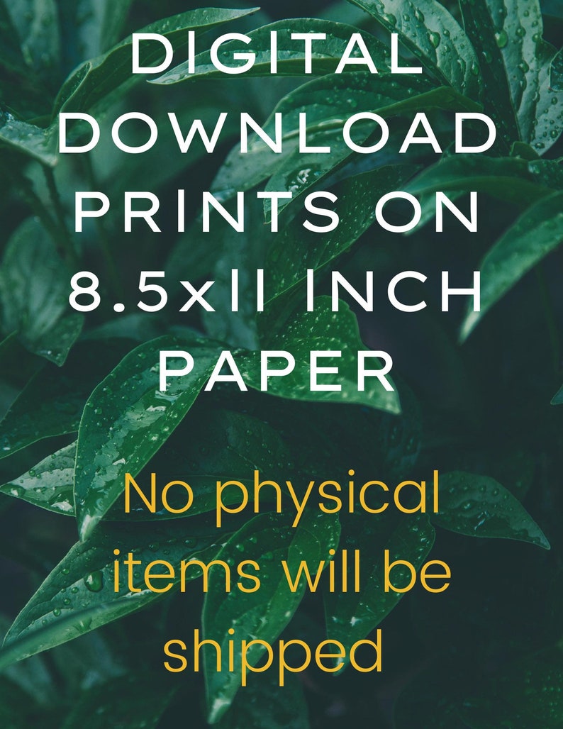 Printable Calendar Month Labels for Classroom or Homeschool - Etsy