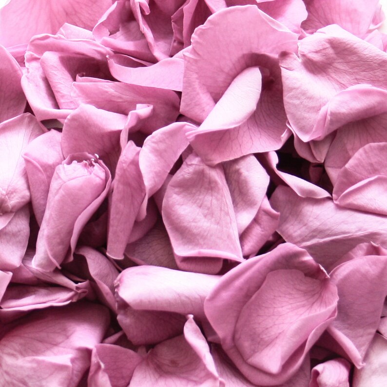 Lavender Rose Petals for Wedding Confetti / Decoration. - Etsy