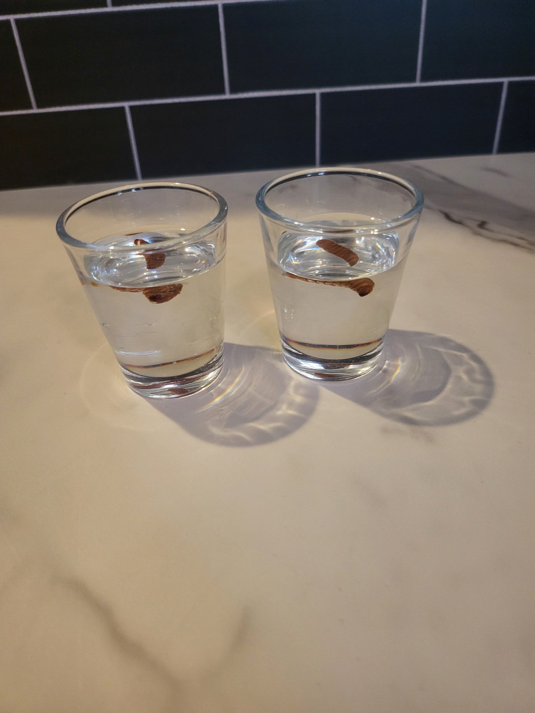 Set of 2 Fake Tequila Shot With Real Worm, Fake Drinks, Home Staging ...