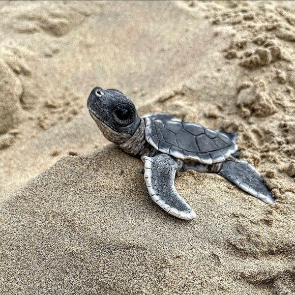 Polymer Clay Turtle Sculpture - Etsy