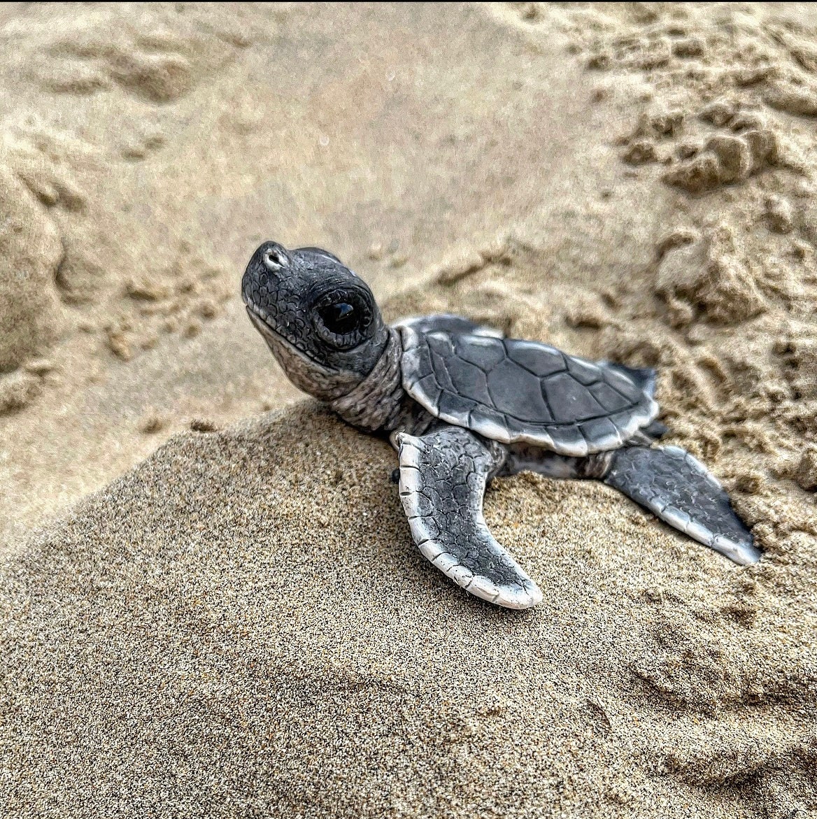 Handmade Realistic Sea Turtle OOAK Polymer Clay Animal Figurine Ocean ...